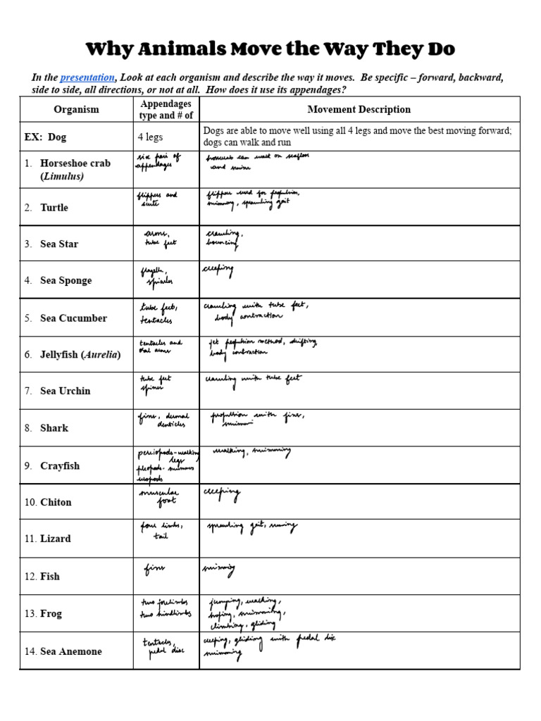 Why Animals Move The Way They Do - AqSci | PDF | Anatomical Terms Of ...