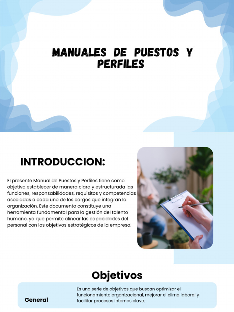 Manual de Puestos y Perfiles | PDF