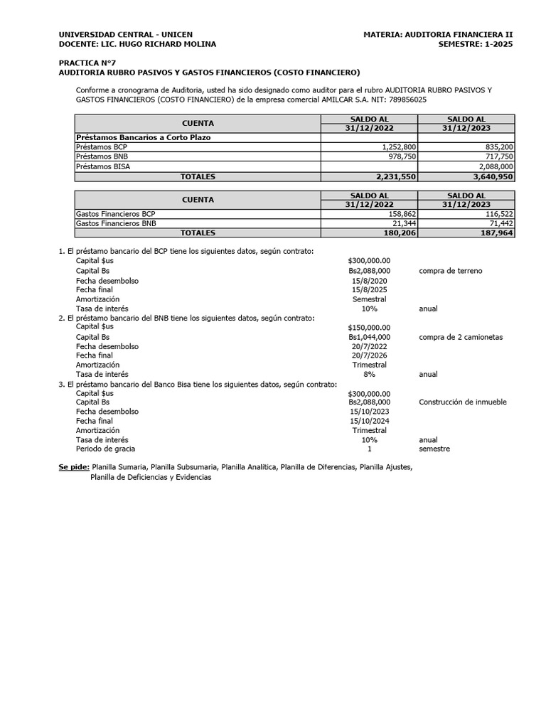 07 Practica | PDF | Auditoría | Dinero