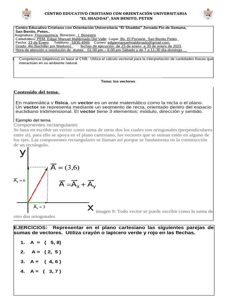 Activida Fisica | PDF