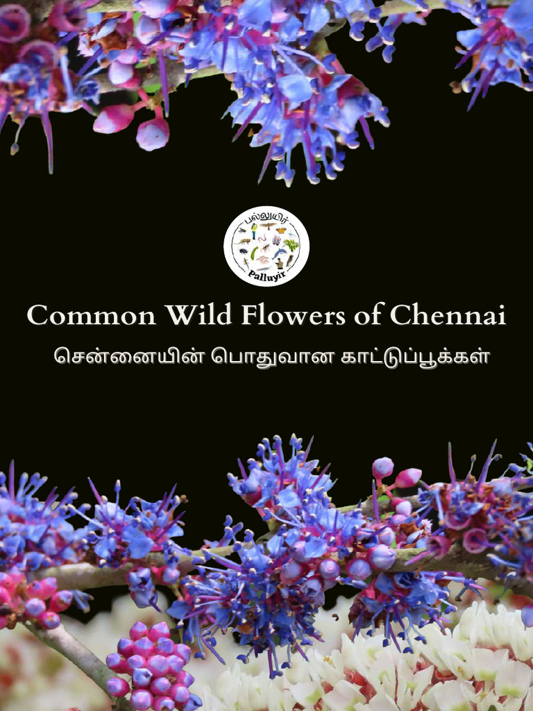 Common Wild Flowers of Chennai | PDF