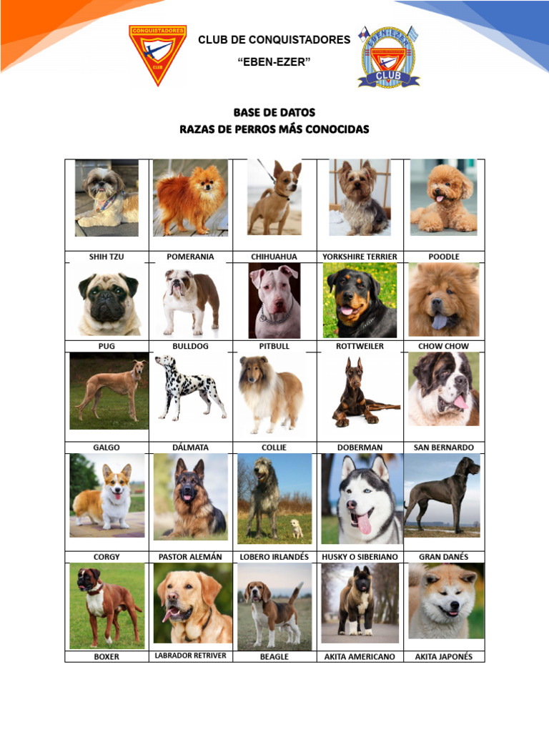 Razas de Perros Más Conocidas | PDF