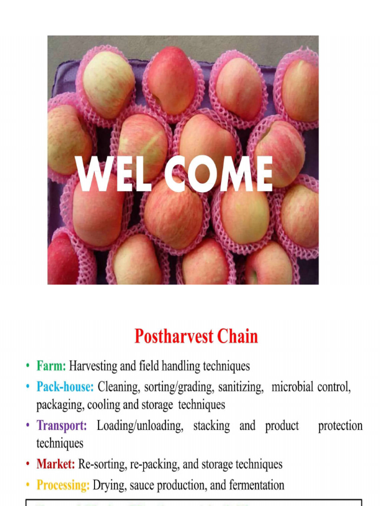 Packhouse Handling | PDF