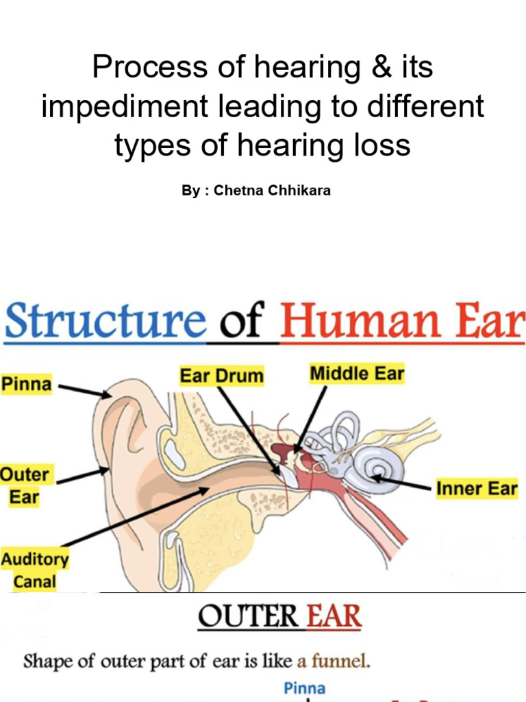 Process of Hearing and Types of Hearing Loss | PDF | Hearing Loss | Ear