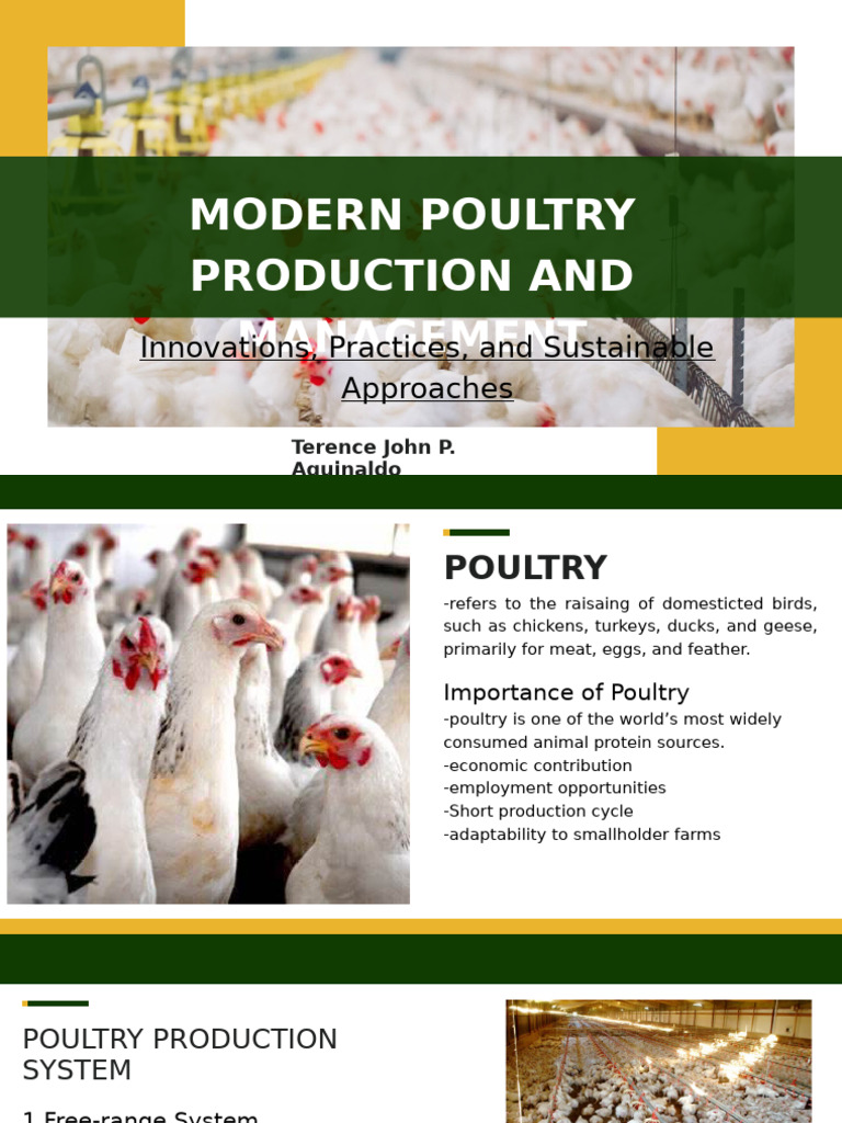 Modern Poultry Production and Management | PDF | Poultry Farming | Poultry