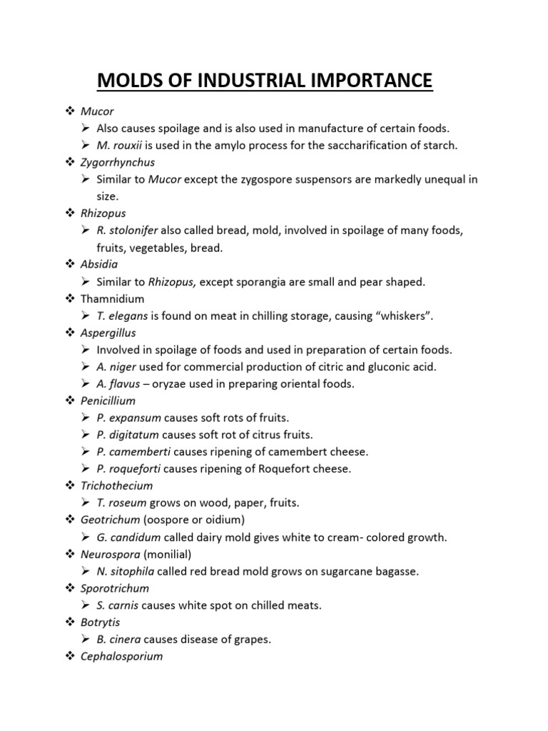 Key Molds in Food Industry | PDF