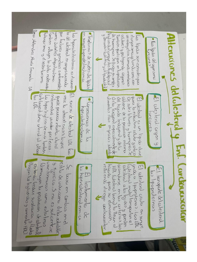 Diego Melendrez- Mapa Conceptual | PDF