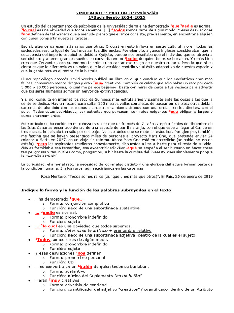Actividad Forma y Función 1 | PDF | Sintaxis | Gramática