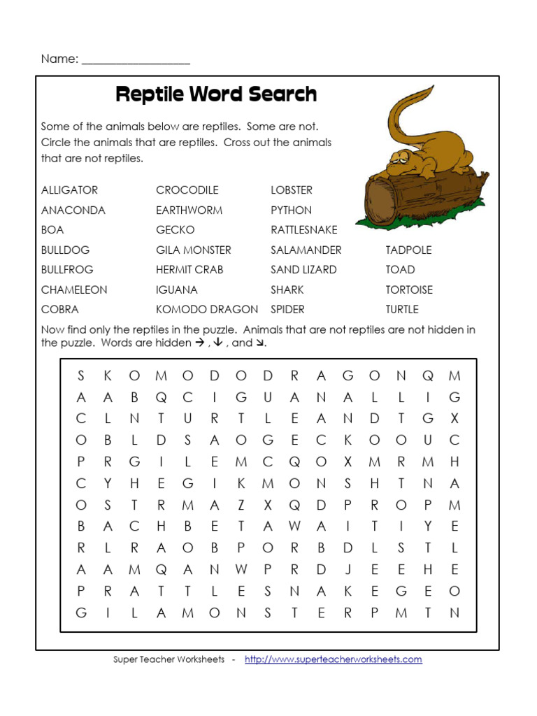 Reptile Word Search Activity | PDF | Reptile | Lizard