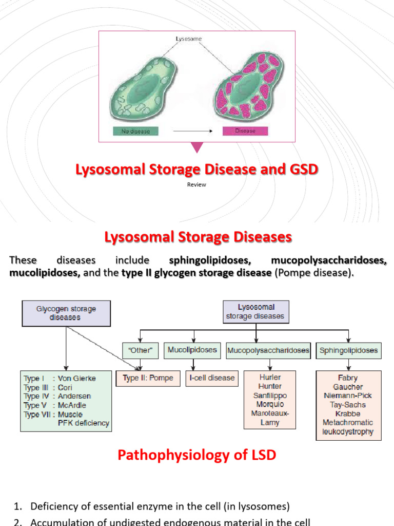 Lysosomal Storage Disease and GSD | PDF | Medical Specialties ...