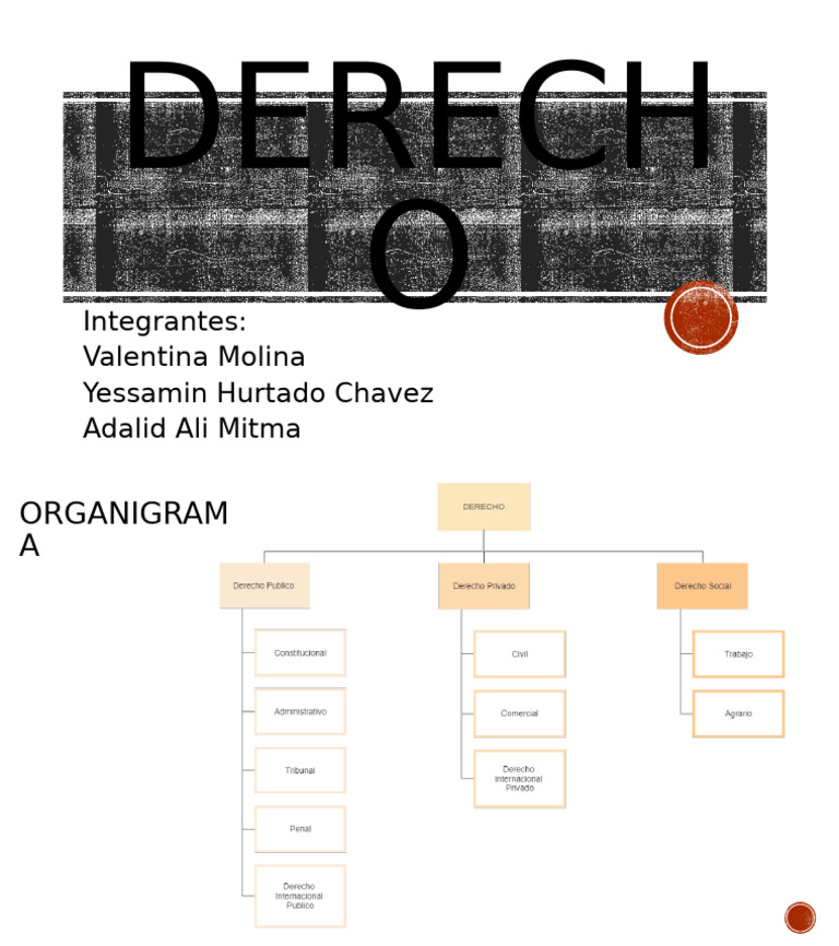 Derecho | PDF