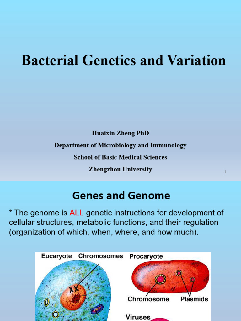 4 Bacterial Genetics and Variation | PDF | Bacteriophage | Plasmid
