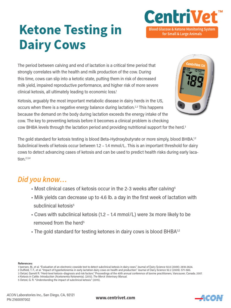 Ketone Testing in Dairy Cows | PDF | Ketosis | Dairy Cattle