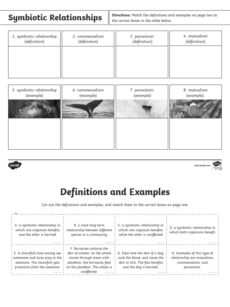 Understanding Symbiotic Relationships | PDF | Symbiosis | Biology