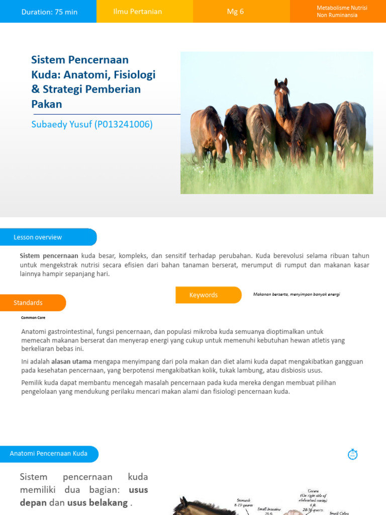 Sistem Pencernaan Kuda | PDF