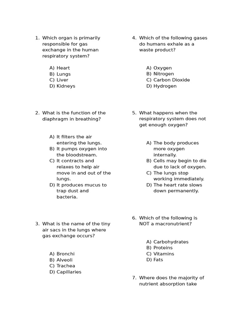Human Respiratory and Digestive Quiz | PDF | Digestion | Lung