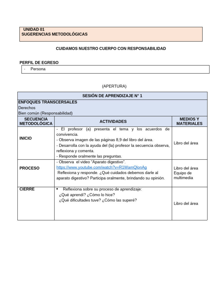 Sesiones de 3ro | PDF | Aprendizaje | Maestros