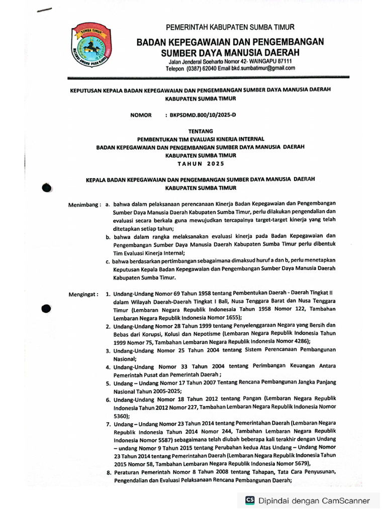 SK Tim Evaluasi Kinerja Internal 2025 | PDF