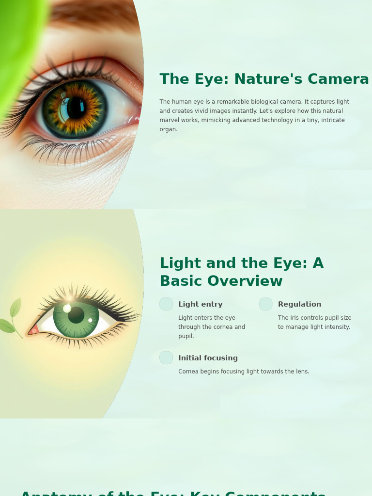 The-Eye-Natures-Camera | PDF