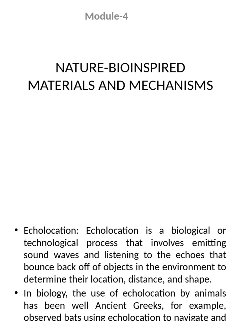 Biological vs. Technological Echolocation | PDF | Ultrasound | Sound