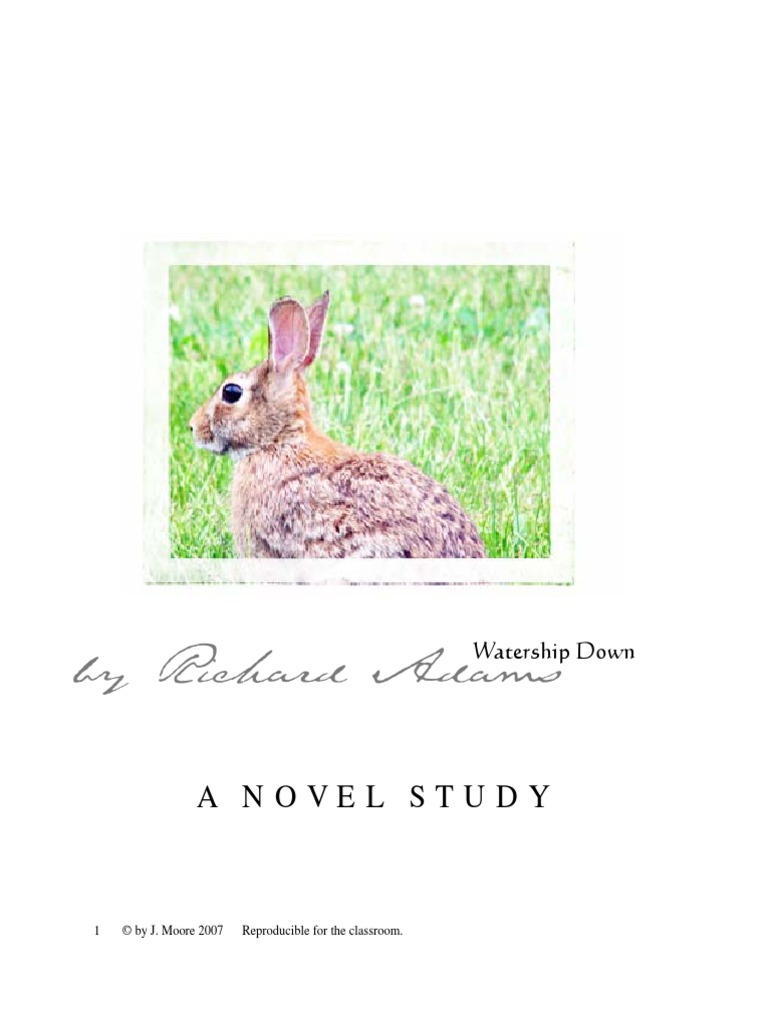 Water Ship Down Novel Study | PDF