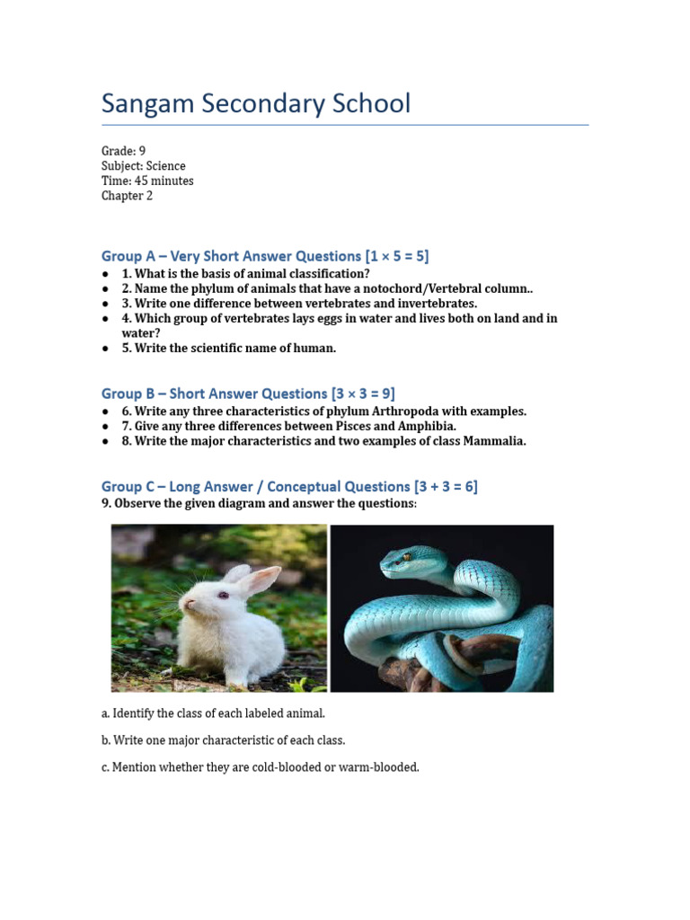 Grade 9 Animal Classification Quiz | PDF