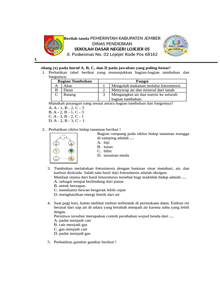 05 SOAL IPAS ASAJ KELAS 6 Th. Ajaran 2024-2025 FIX | PDF