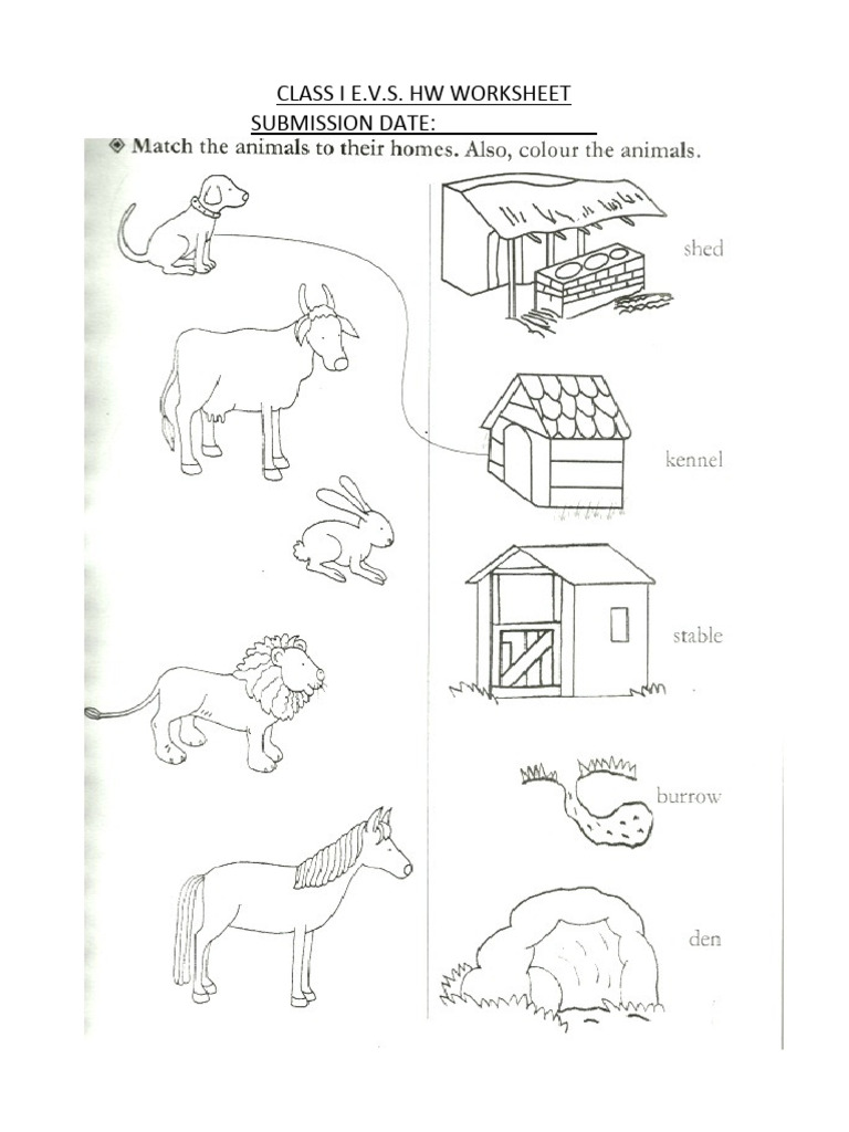 CBSE Class 1 EVS Worksheet - Animal Homes | PDF