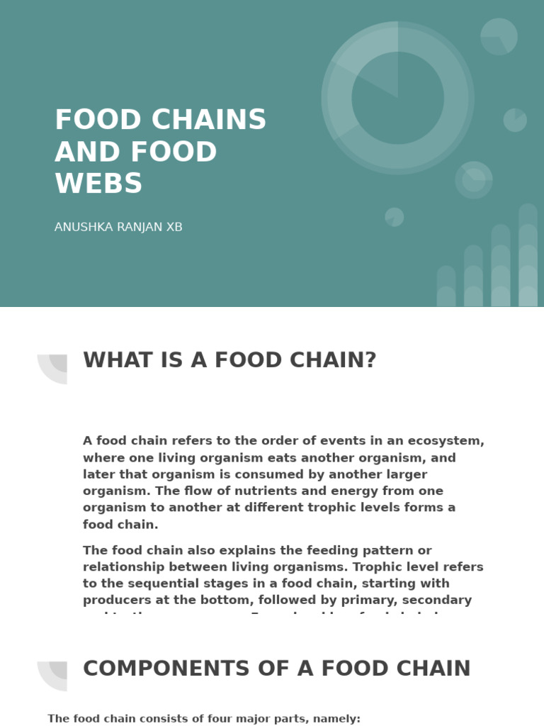 Food Chains and Food Webs | PDF | Food Web | Foods