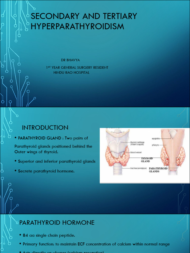 Secondary and Tertiary Hyperparathyroidism | PDF | Parathyroid Gland | Medical Specialties