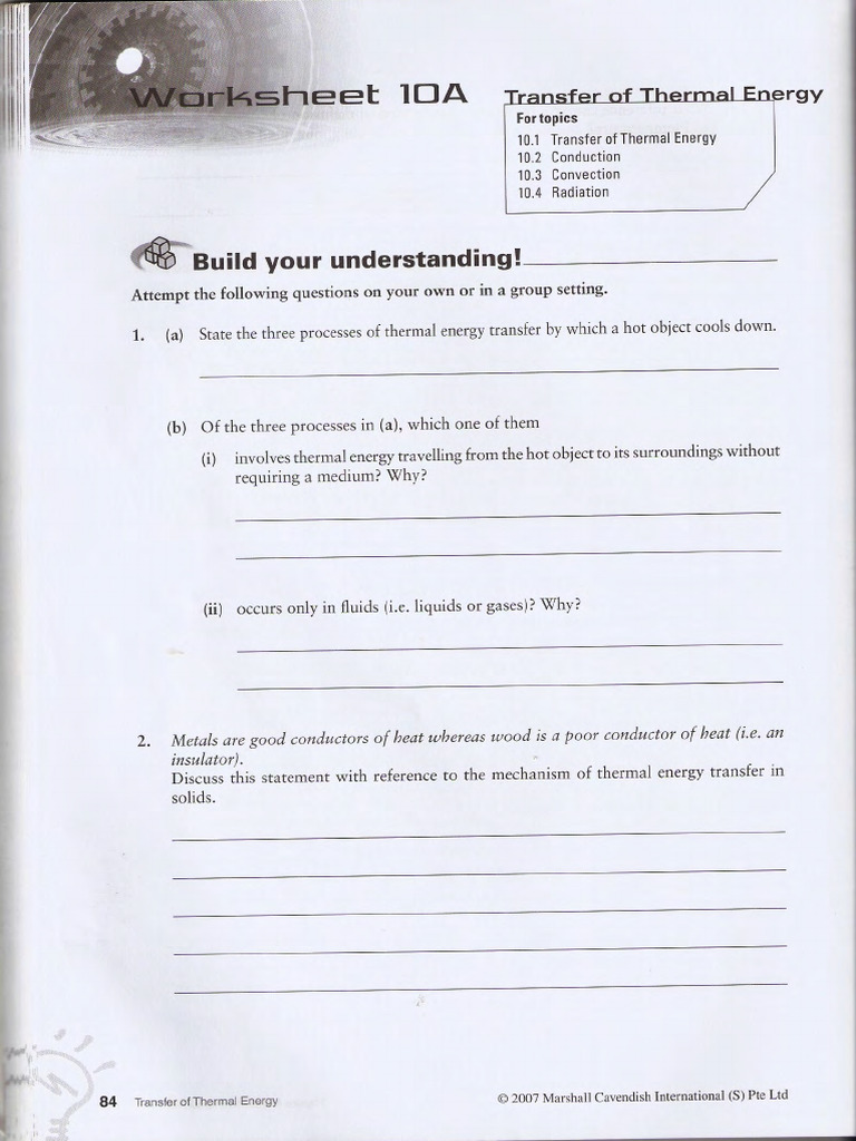 Science IV Extra Credit Activity1 | PDF