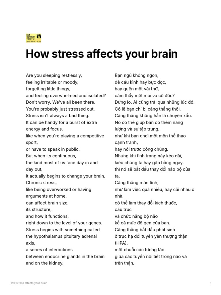 How Stress Affects Your Brain | PDF