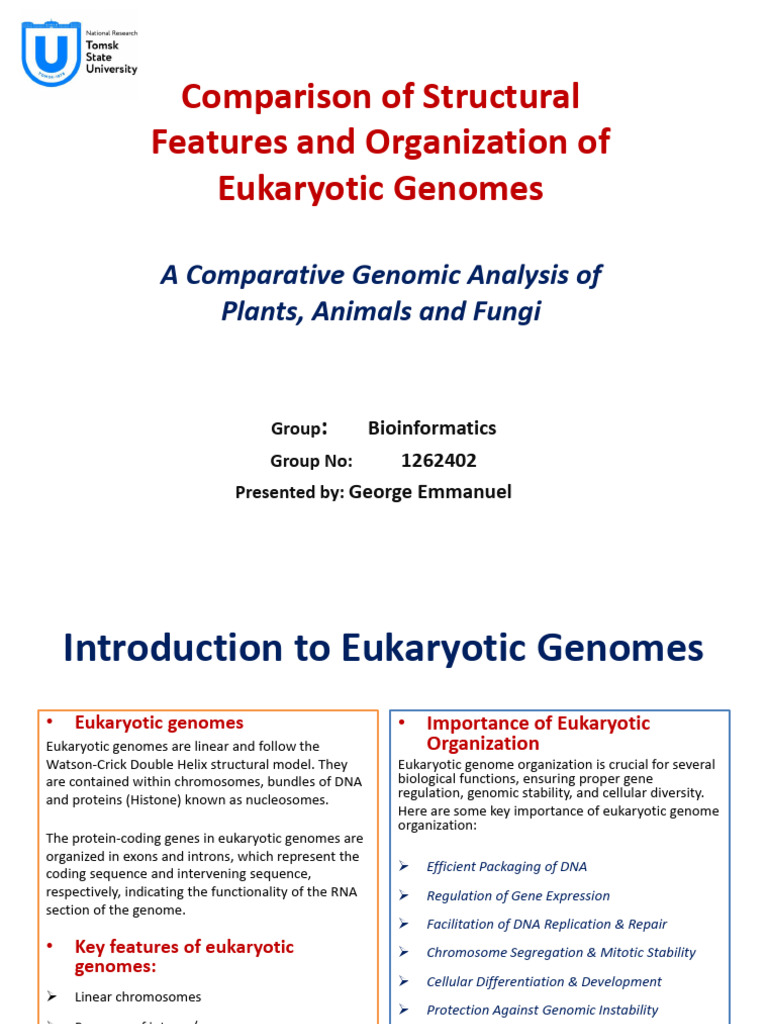 Comparison of Structural Features and Organization of Eukaryotic genome ...
