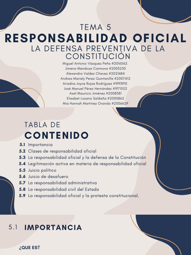 Responsabilidad Oficial y Defensa Constitucional | PDF | El proceso de ...