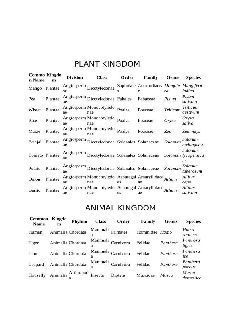 Plant and Animal Classification Guide | PDF | Photosynthesis | Cell ...