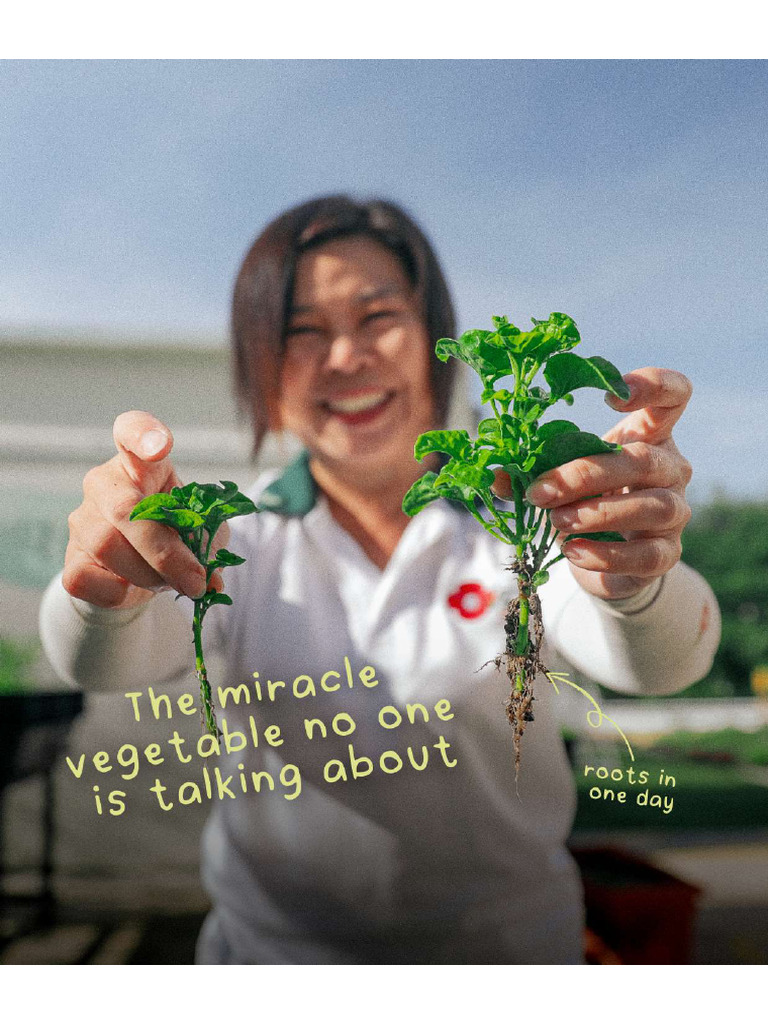 The Miracle Vegetable No One Is Talking About | PDF