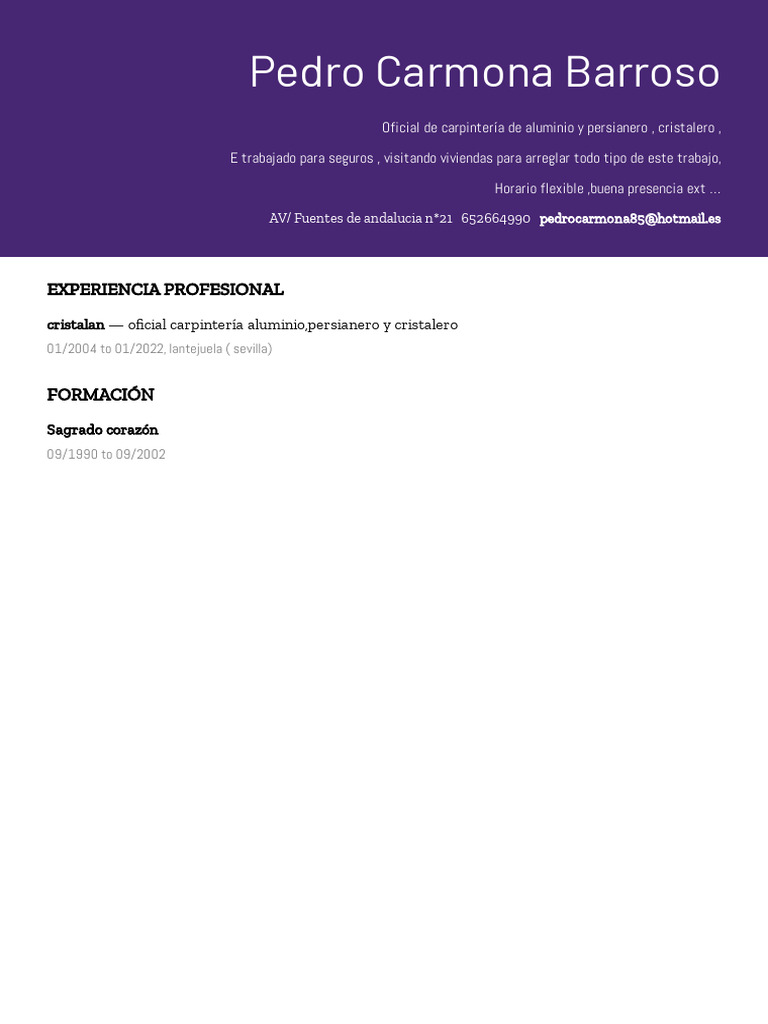 Pedro Carmona Barroso: Experiencia Profesional Experiencia Profesional | PDF