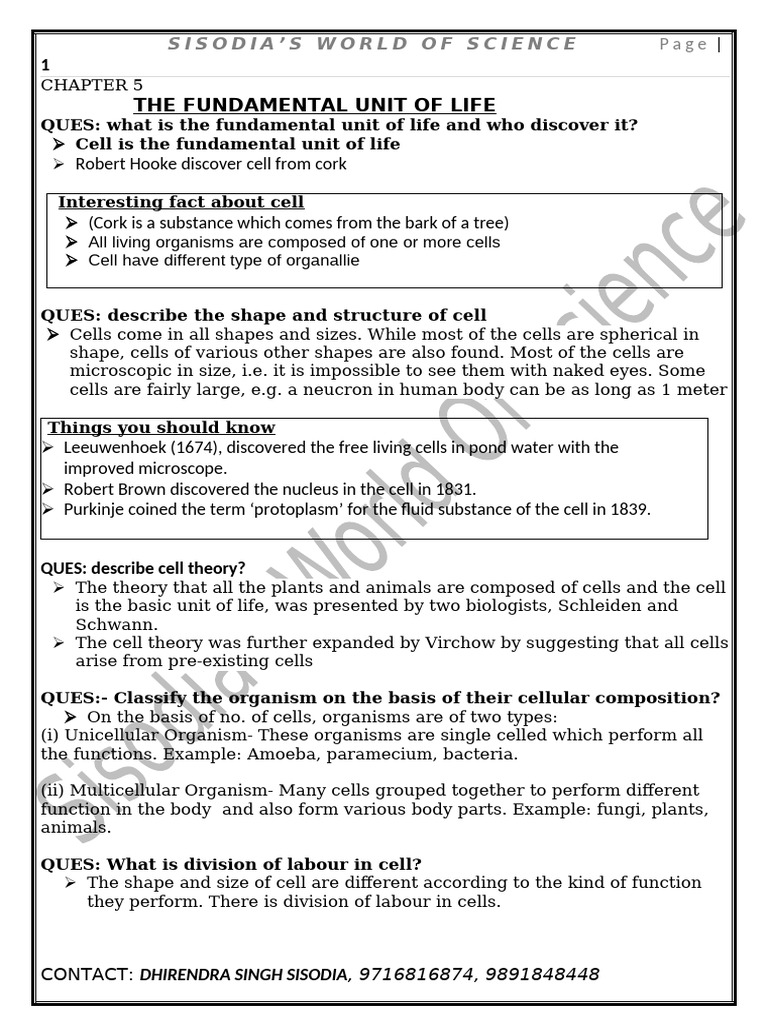THE FUNDAMENTAL UNIT OF LIFE grade 9 | PDF | Endoplasmic Reticulum ...