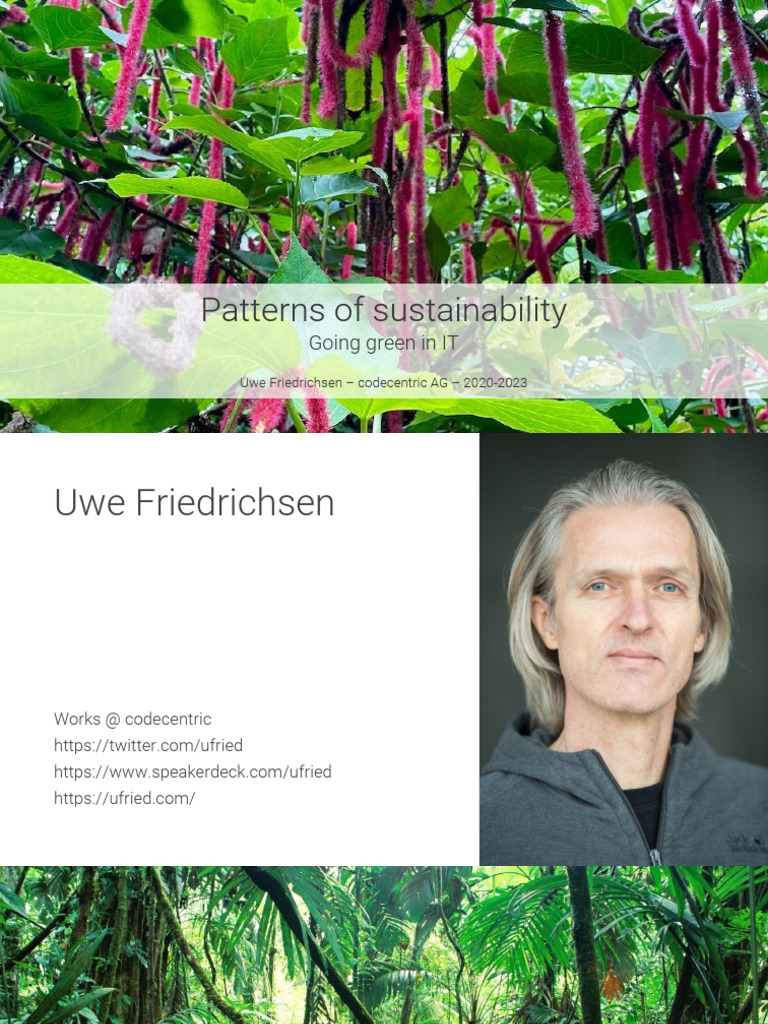 Patterns of Sustainability | PDF | Cache (Computing) | Programming Language