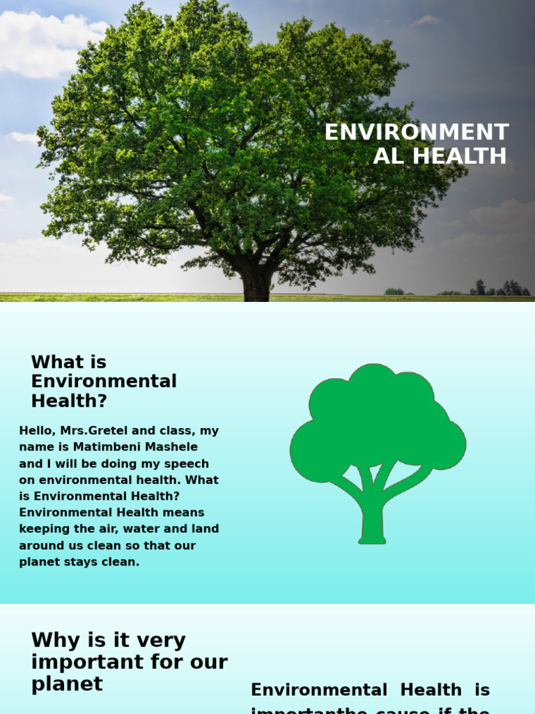 Environmental Health (Mashele's Project) | PDF