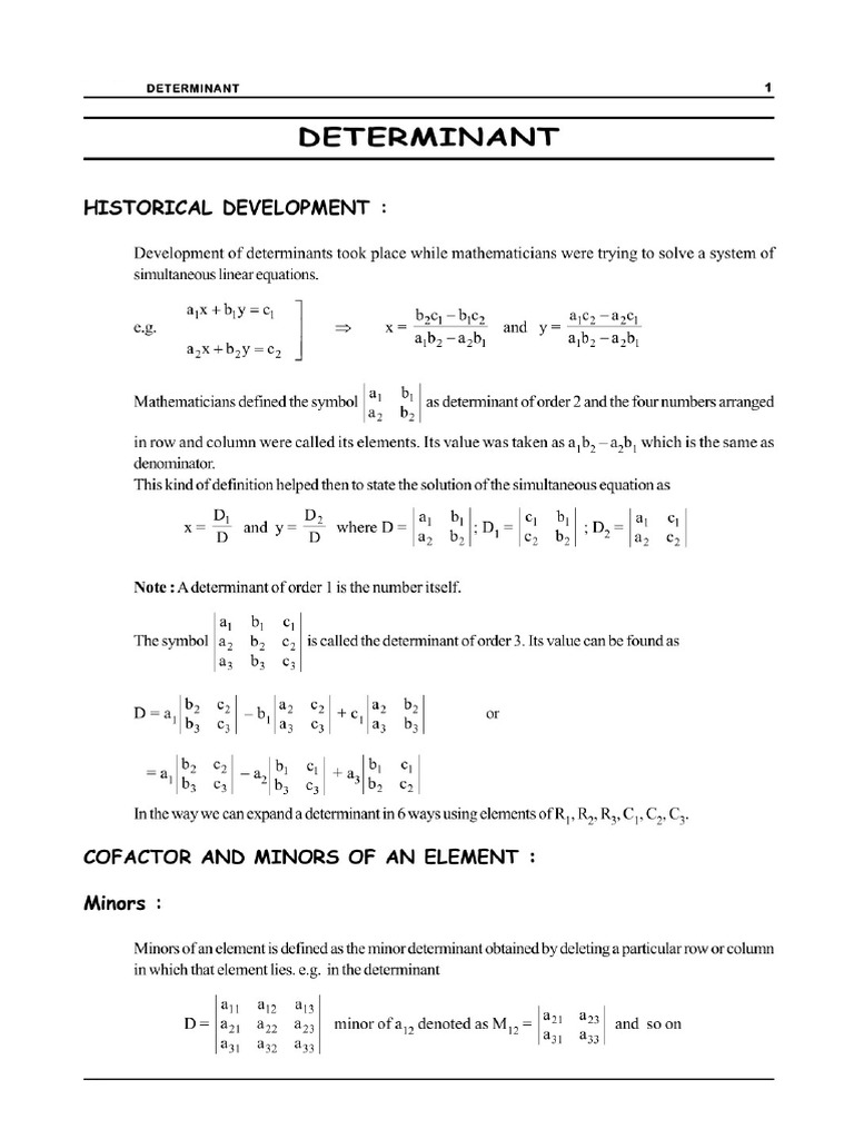 6. Determinants & Matrices | PDF