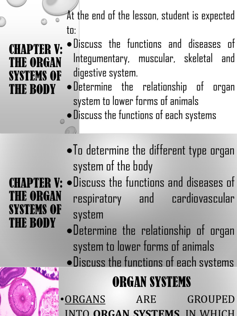 Overview of Body Organ Systems | PDF | Skin | Epidermis