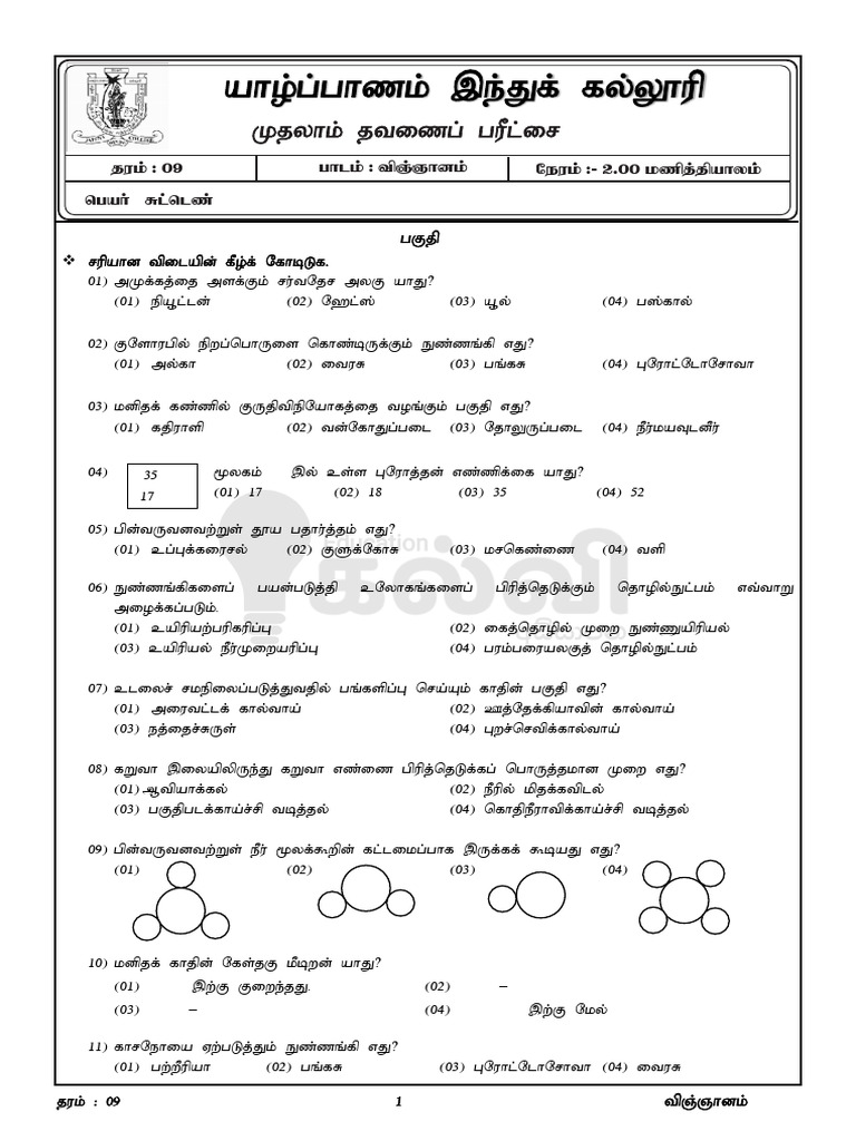 Gr9 Ta Science 2023 Term 1 | PDF