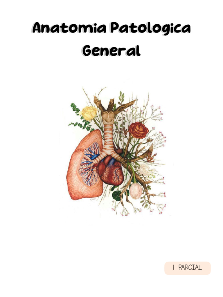 Apg Parcial 1 | PDF | Lípido | Atrofia