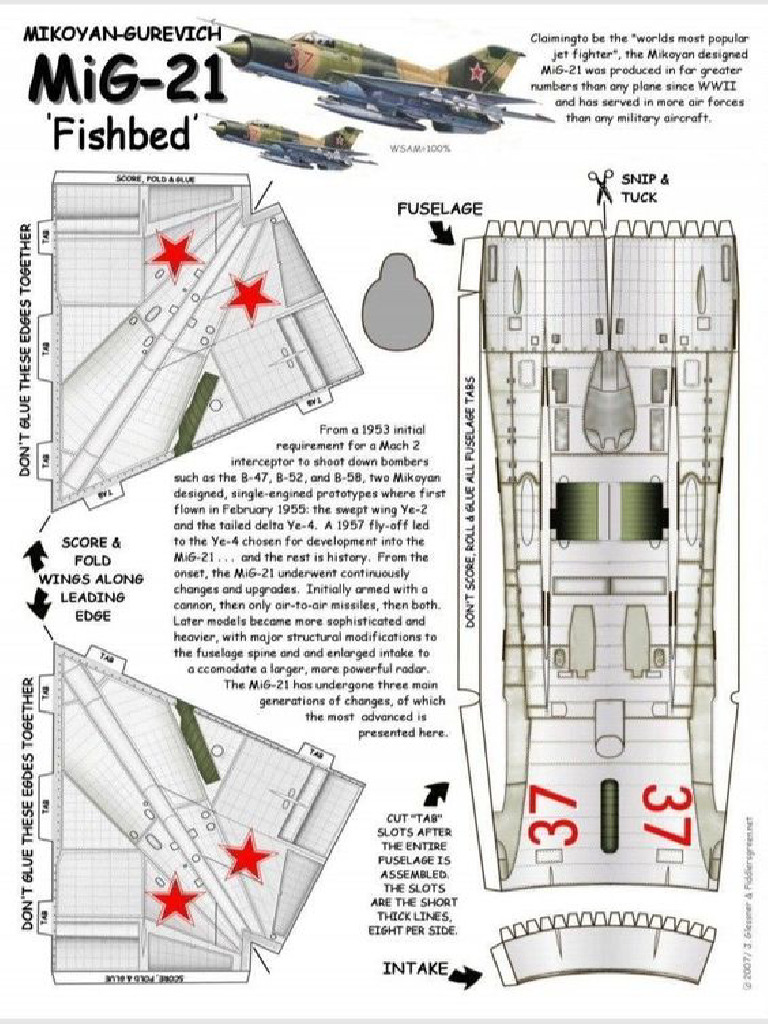 Binder1 MiG-21 in Color | PDF