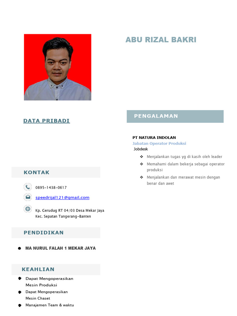 CV Abu Rizal Bakri | PDF