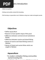 Play Fishing Frenzy Blooket | PDF