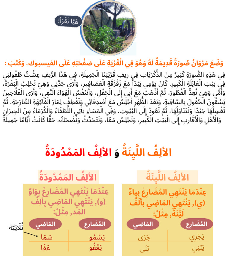 Arabic Reading Text (Short, Easy) | PDF