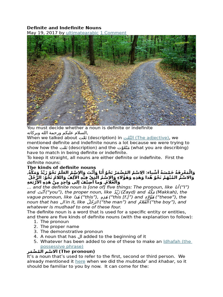 Definite and Indefinite Nouns | PDF | Grammatical Gender | Grammatical ...