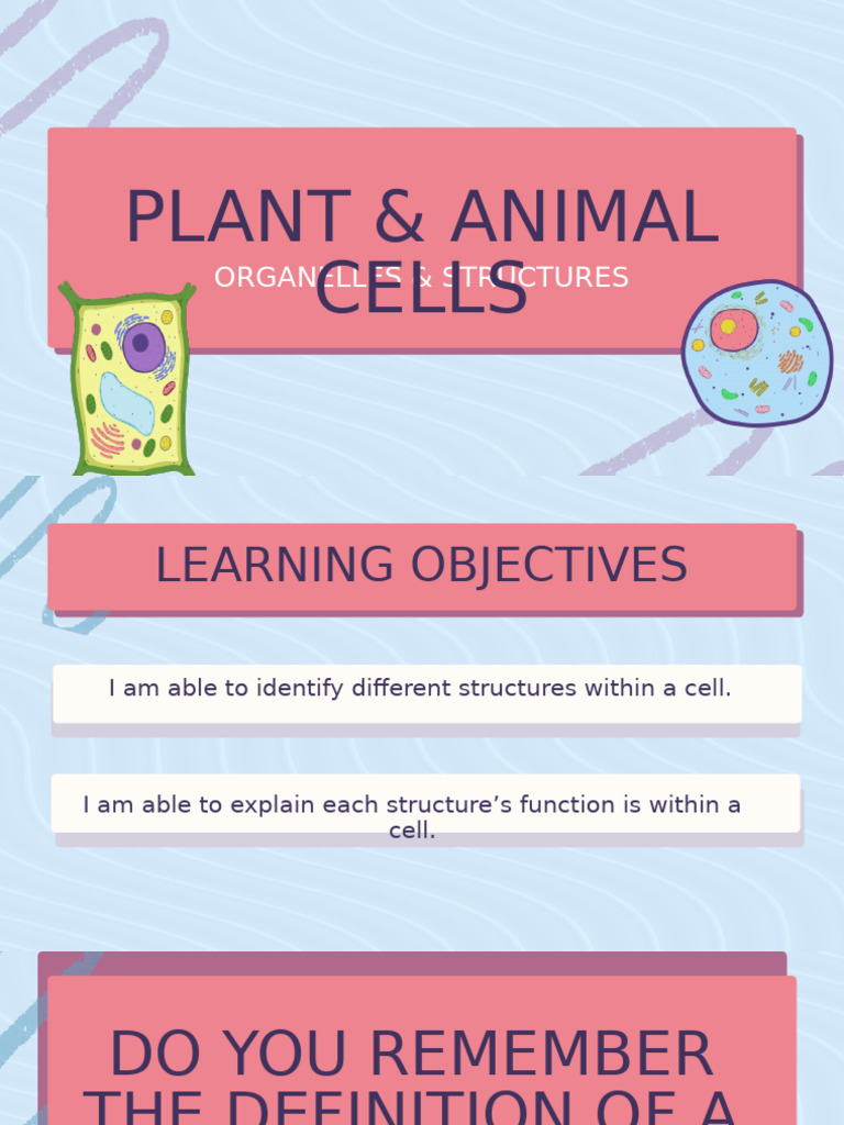 Animal Cell and Plant Cell RECAP Y 7 | PDF | Cell (Biology) | Plants
